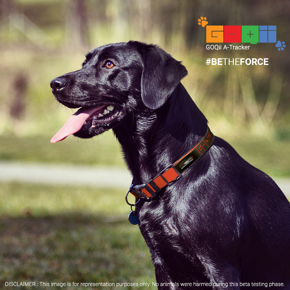 Innovation Alert: What is a GOQii A-Tracker? - GOQii