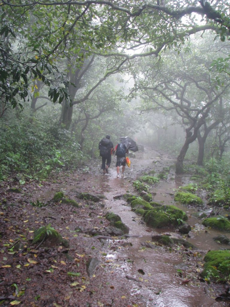 Monsoon Magic: Navigating the Lush Trails of Sahyadri Safely - GOQii