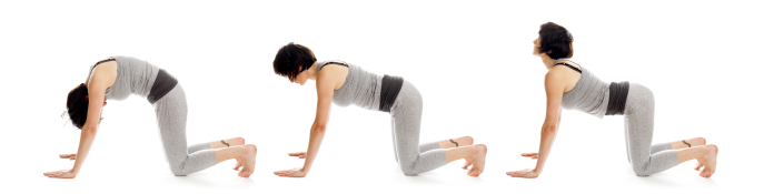 How Yoga can help cure your lower back pain - GOQii