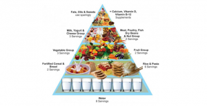 Food Pyramid - Did you Know? A guide to healthy eating with the Food ...