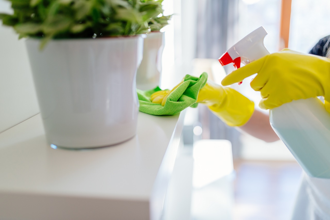 Cleaning Tips to Keep Household Germs at Bay - GOQii